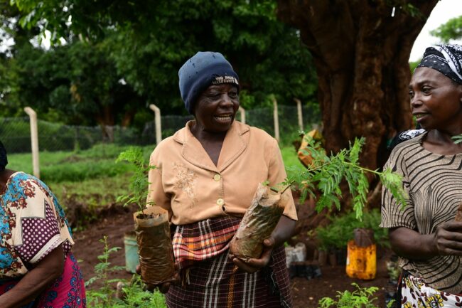 Community Livelihoods – Taita Taveta Wildlife Conservancies Association